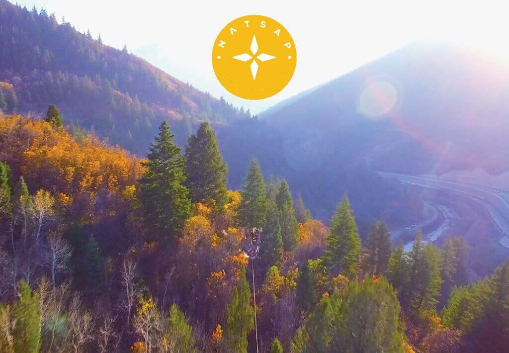 Home - National Association of Therapeutic Schools and Programs